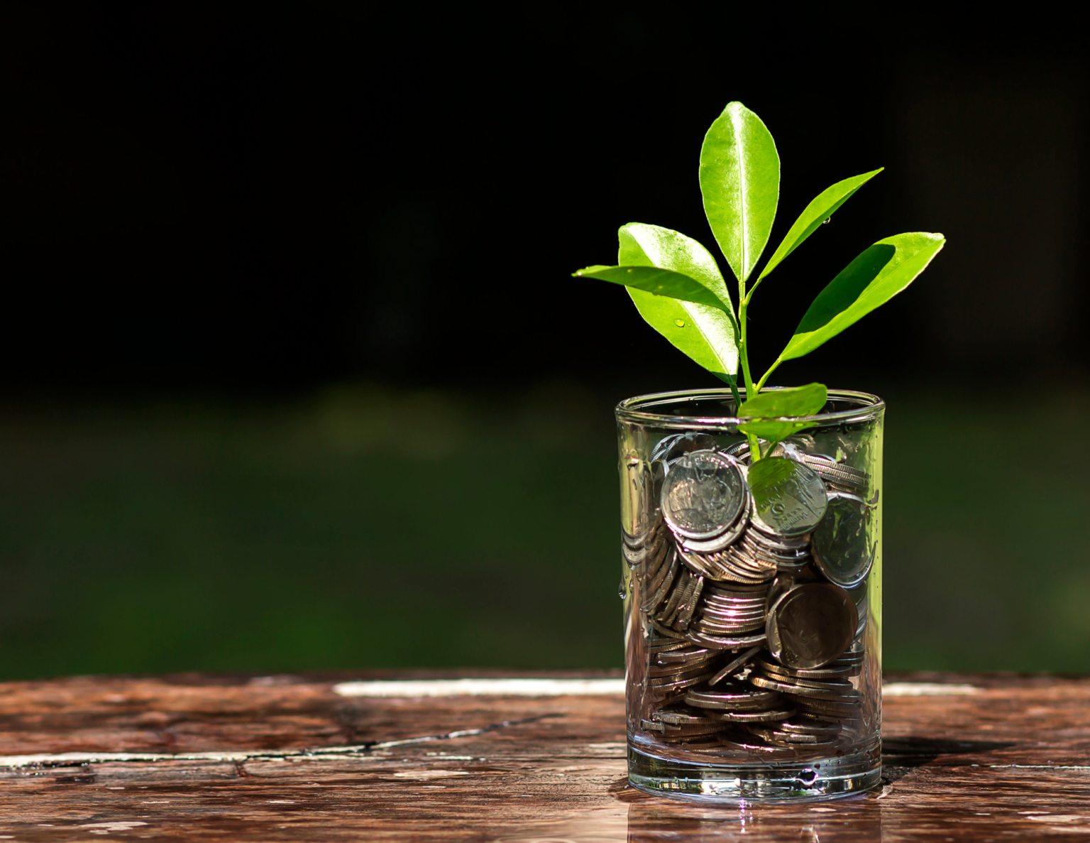 Consider Investing via Unit Trusts with STANLIB – Financial Education ...